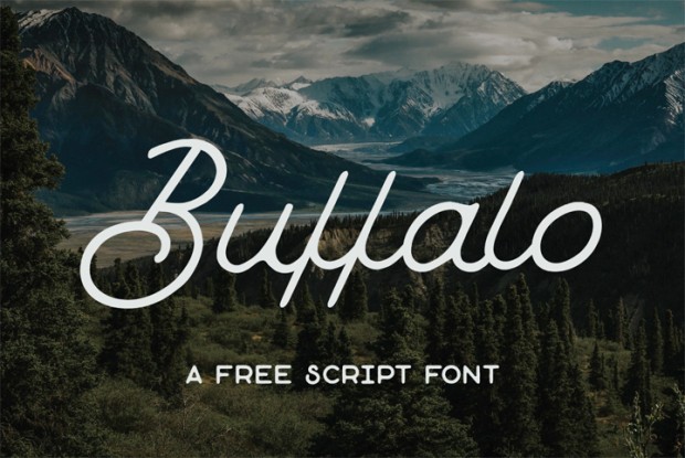 【商用利用可】英語の筆記体フリーフォント50選 | デザインマガジン